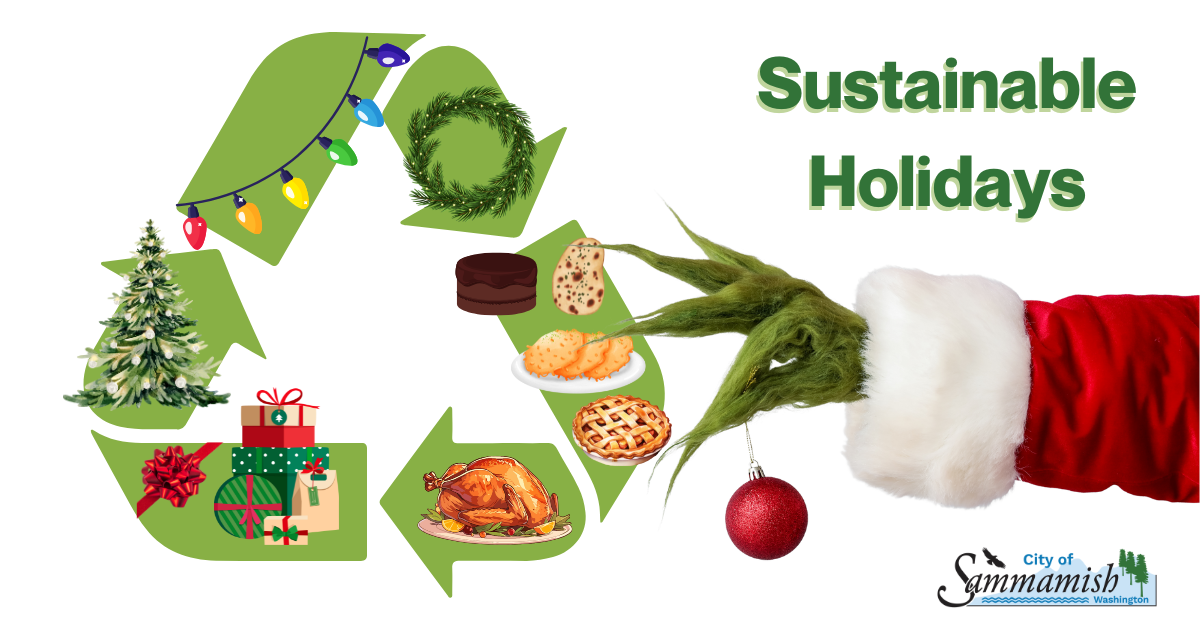 Sustainable Holidays: Quick tips for the season | City of Sammamish