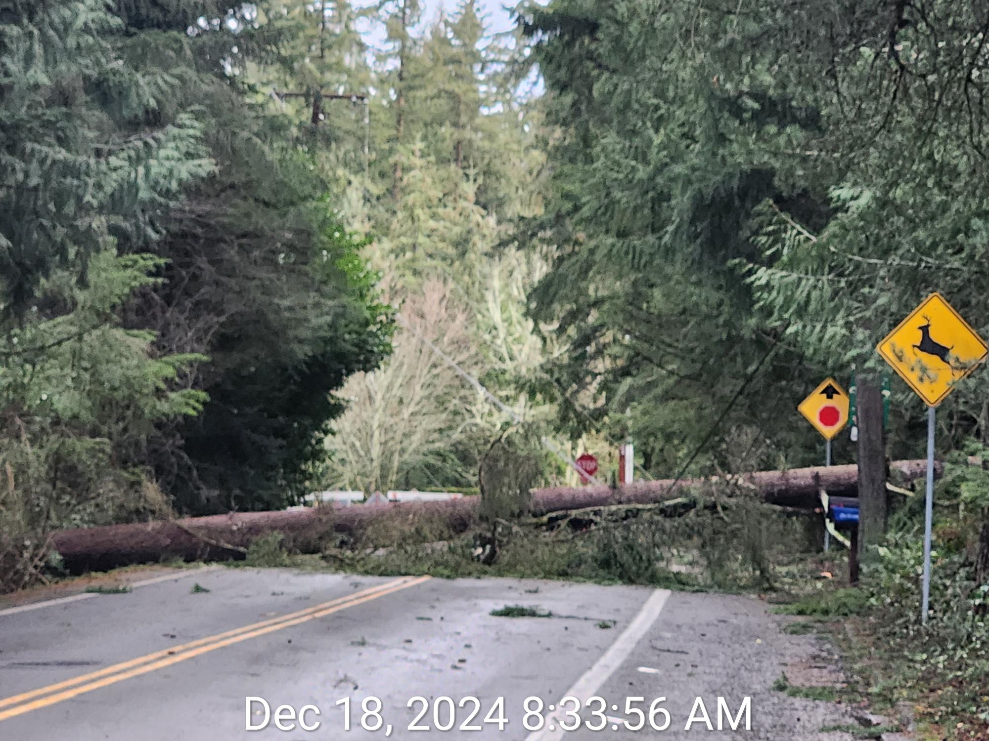 Small storm creates road closure | City of Sammamish